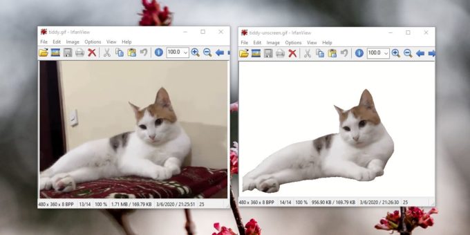 How to remove the background from a GIF