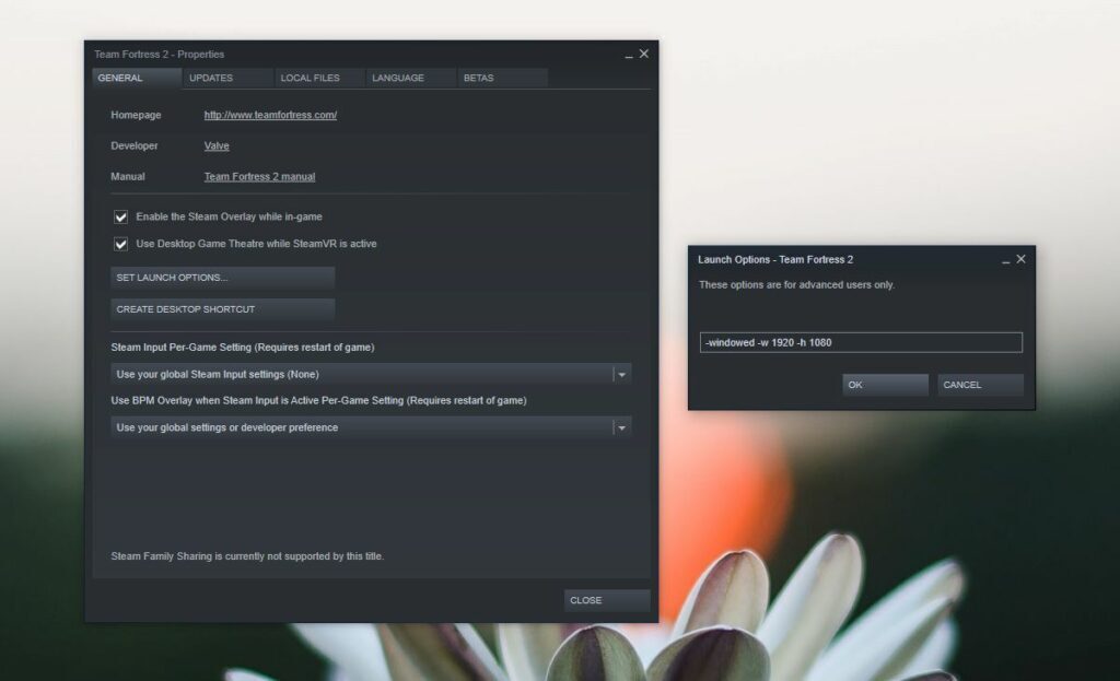 How to run Team Fortress 2 in the correct resolution on Windows 10