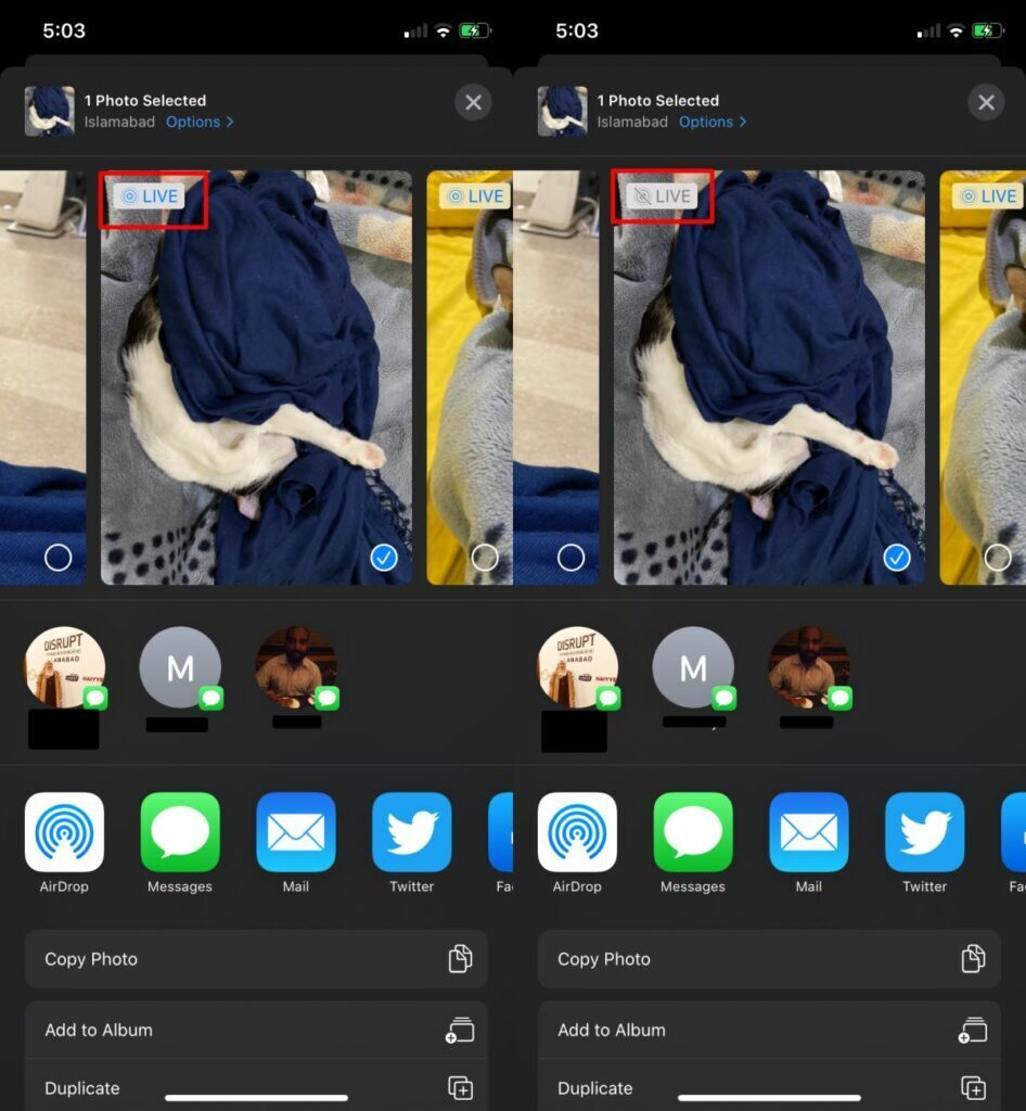 How to convert a live photo to a video [iOS]