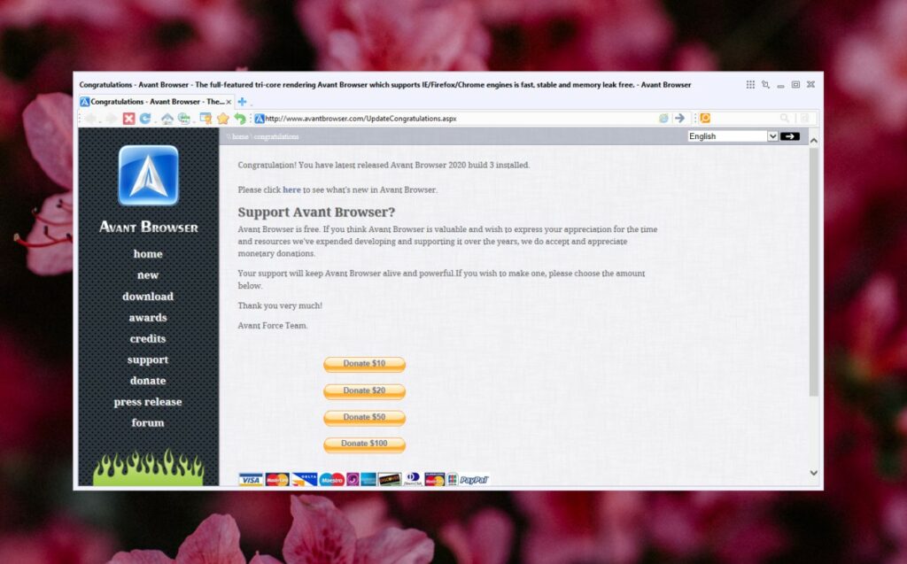 Best Browsers for Slow Computers with Old Hardware