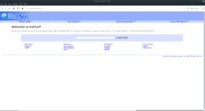How to set up the NetSurf browser on Linux