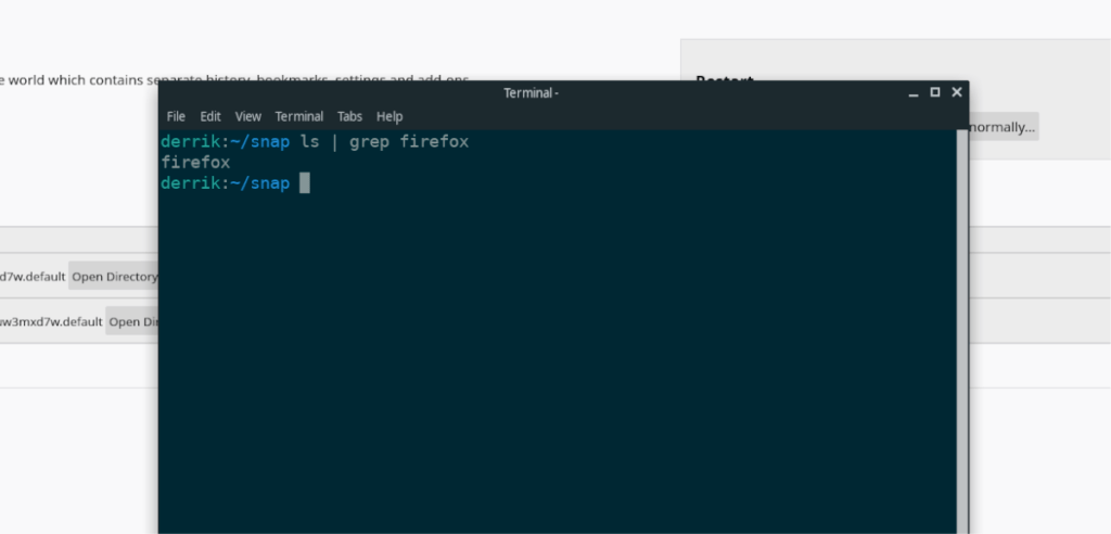 How to back up Firefox Snap settings on Linux