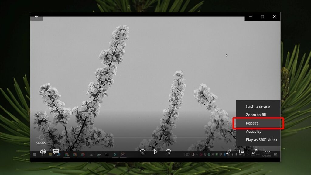 How to play a video on repeat on Windows 10