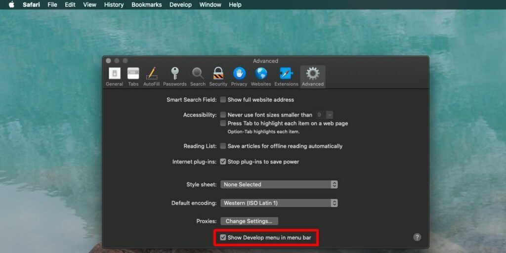 How to use the Web Inspector on Safari for iOS