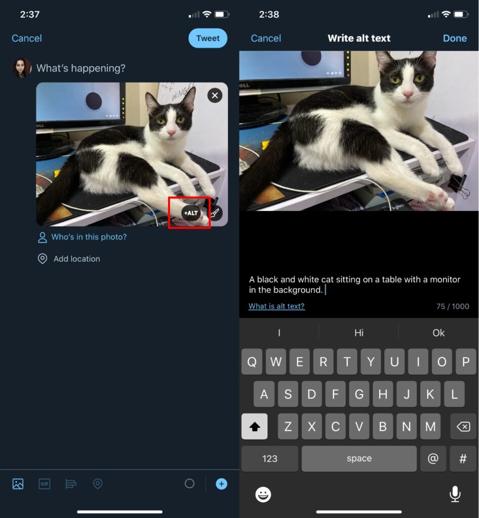 How to add ALT text to images in a Tweet