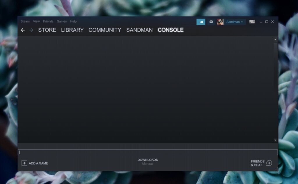 How to open the Steam console on Windows 10