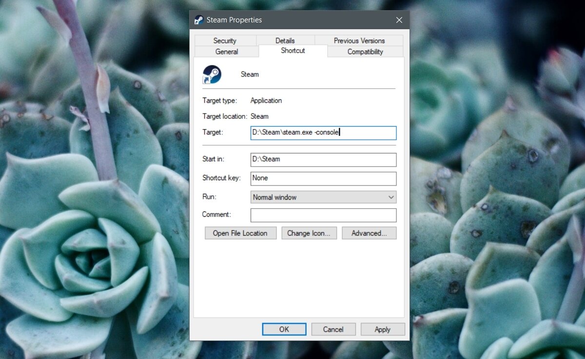 How to open the Steam console on Windows 10