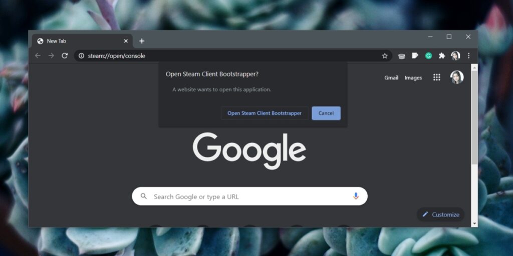 How to open the Steam console on Windows 10