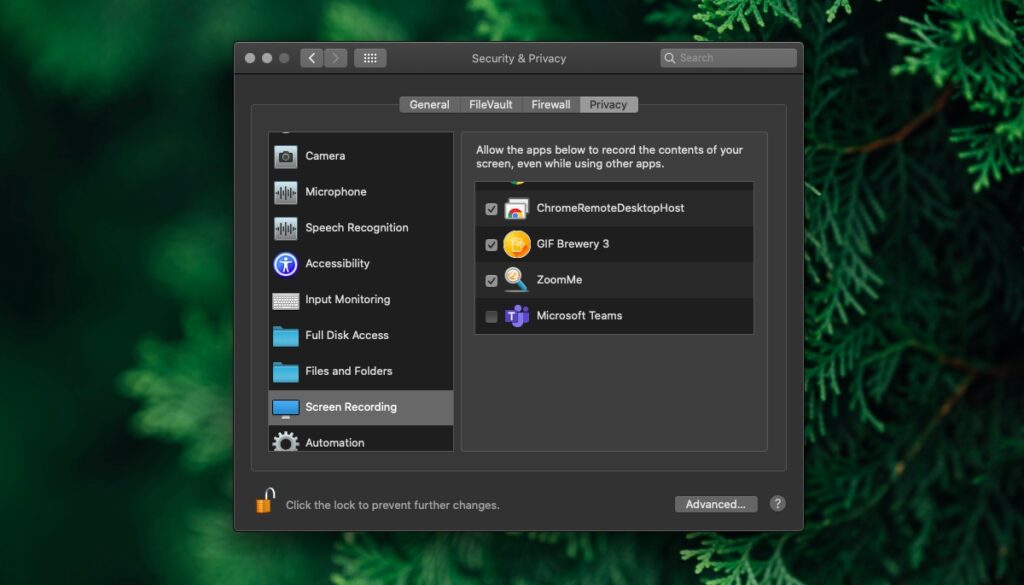 Microsoft Teams Screen Sharing Not Working on Mac (FIXED)