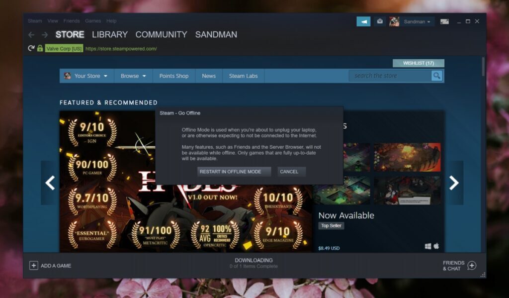 How to start Steam in Offline mode on Windows 10