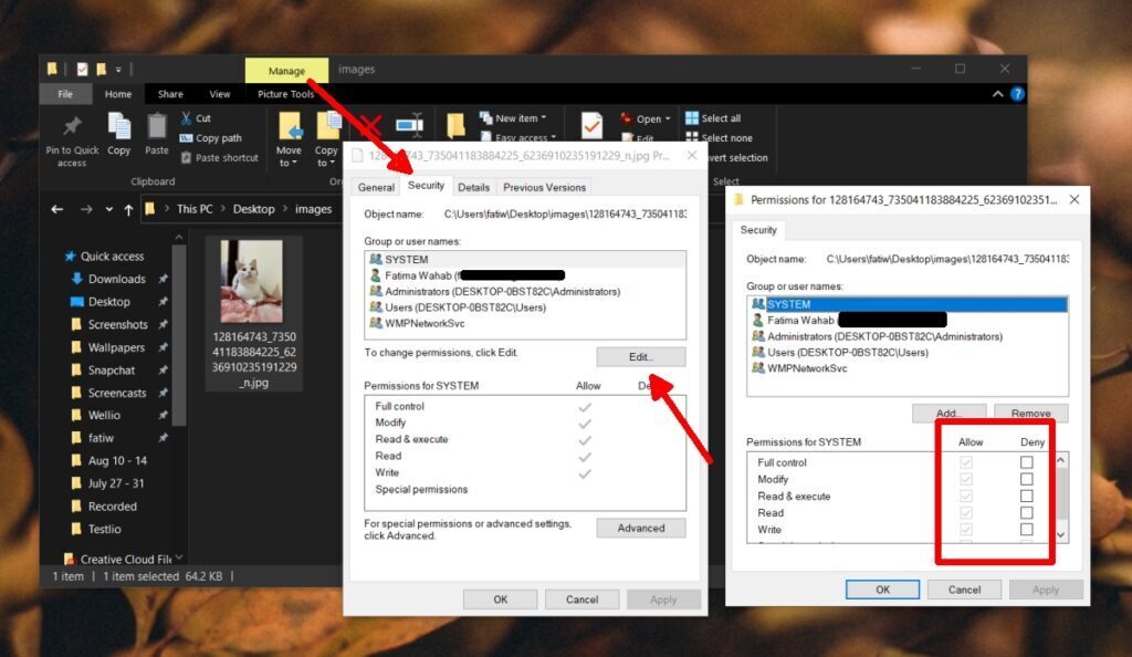 How to change file permissions on Windows 10