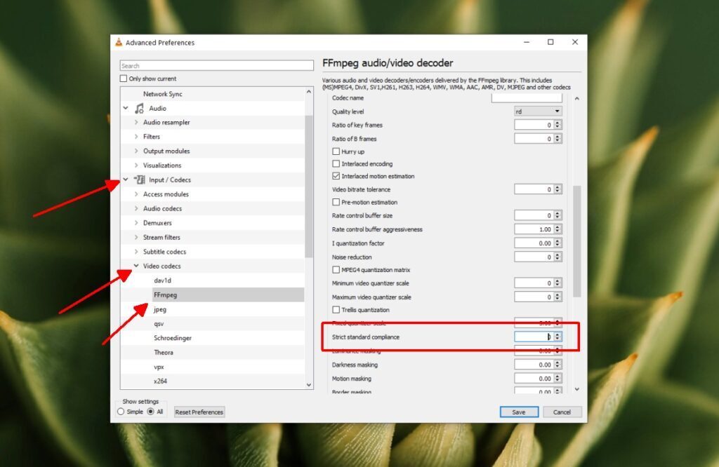 VLC Converting Without Sound: How to Fix the VLC Converter No Audio Errror