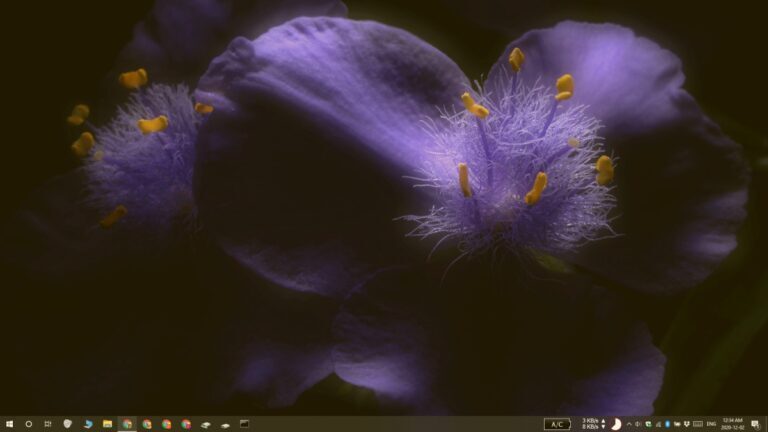 Windows 10 Yellow Screen Tint Display: How to FIX This Issue for Good