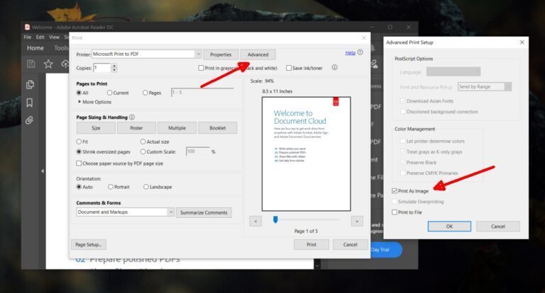 Can't Print PDF With Adobe Reader on Windows 10 (SOLUTIONS)
