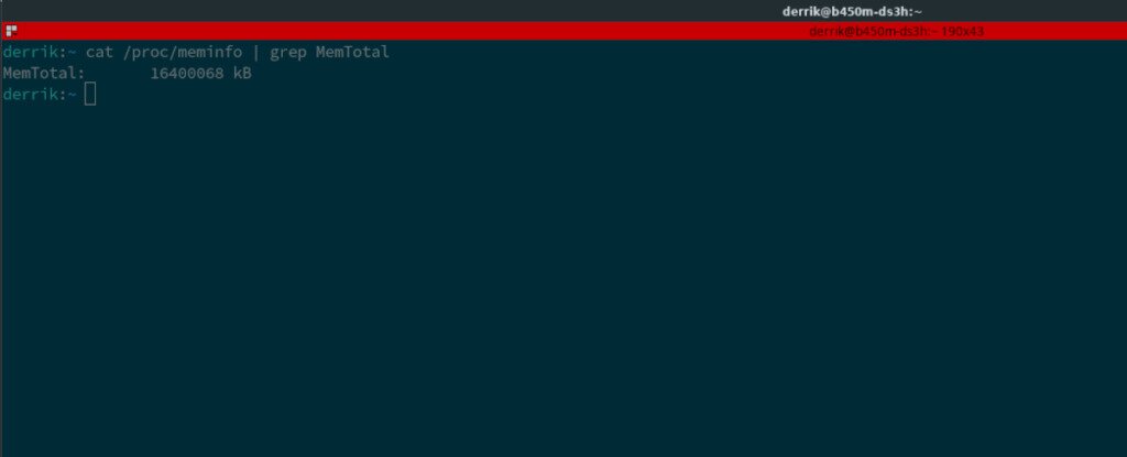 Linux: Check RAM size on a PC