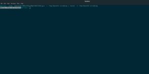 How to: Base64 decode on Linux