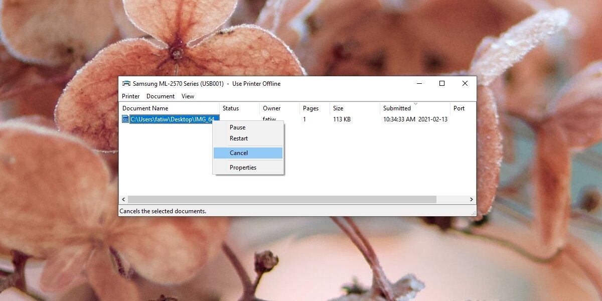 Pinter Offline [FIX] - Why Is My Printer Offline in Windows 10?
