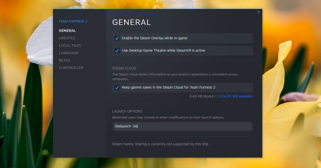 Battleye Anti-Cheat: What It Is and Why Games Use It?