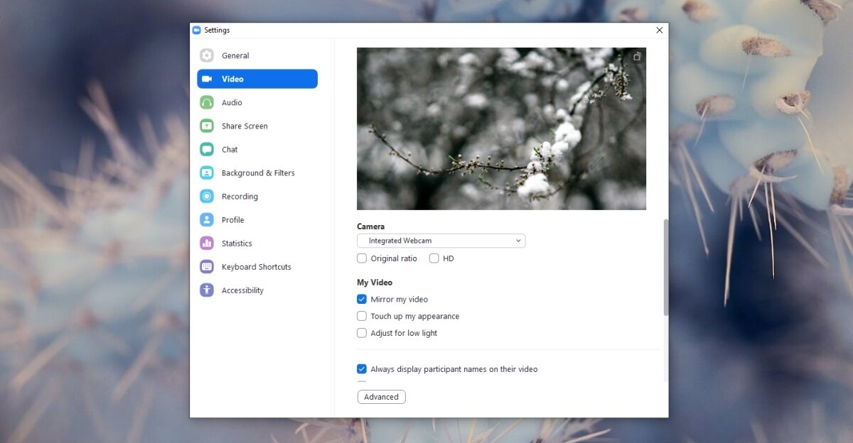 Zoom Camera Not Working - Step-by-Step Guide - Addictive Tips 2022