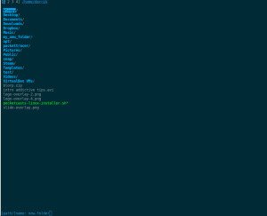 How to use bash to create directories in Linux [Guide]