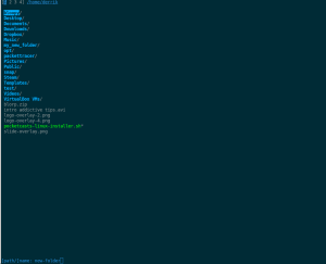 How to use bash to create directories in Linux [Guide]