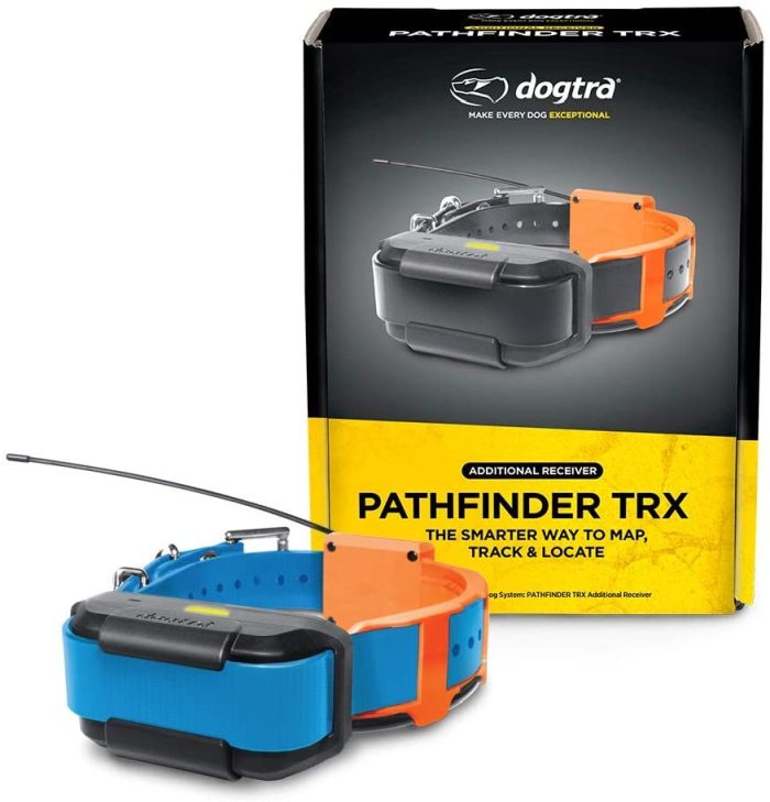 12 Best Pet Tracker Collars in 2022 (Reviews) For Your Furry Friend