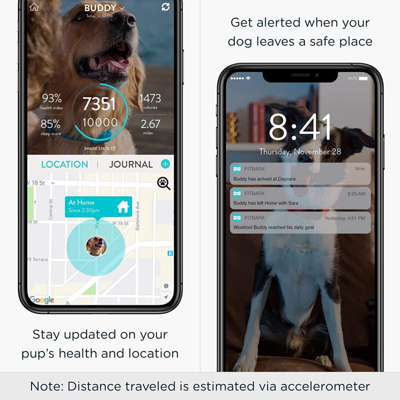 12 Best Pet Tracker Collars in 2022 (Reviews) For Your Furry Friend
