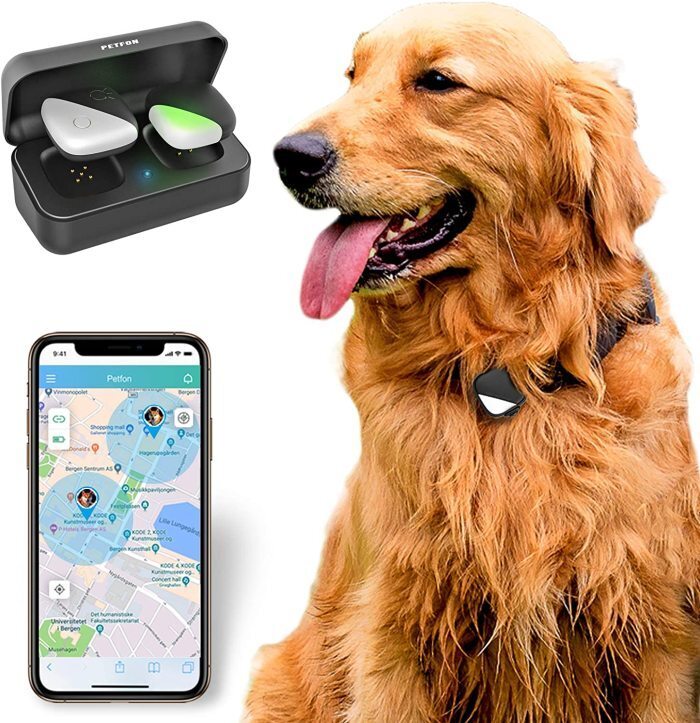 12 Best Pet Tracker Collars in 2022 (Reviews) For Your Furry Friend