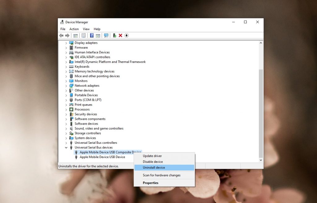 Windows Can't See iPhone Photos: Here's How to Access Files on iPhone