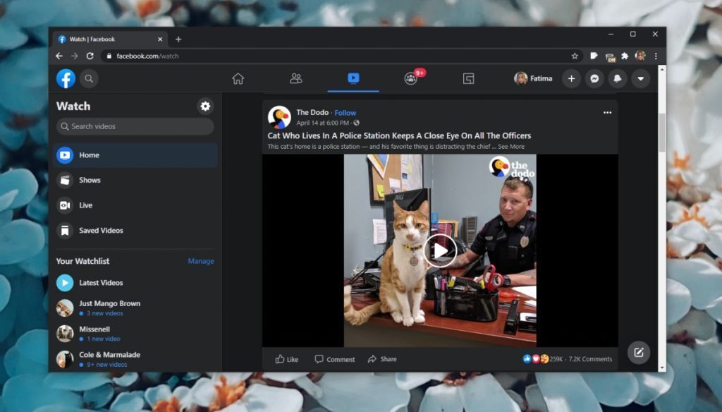 Facebook Videos Not Playing in Chrome, Firefox, Safari (SOLVED)