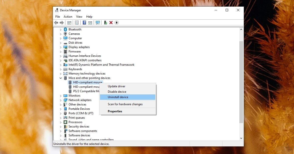 Mouse Double Clicks (FIXED): Why Is My Mouse Double Clicking?