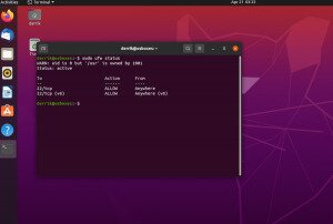 How to port forward through the firewall on Ubuntu