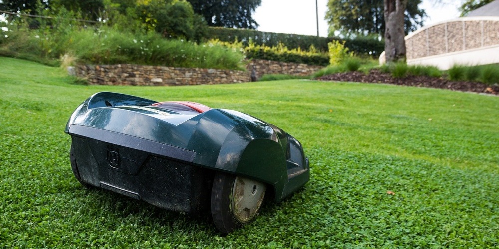 The 5 Best Robot Lawn Mowers for Your Garden in 2021
