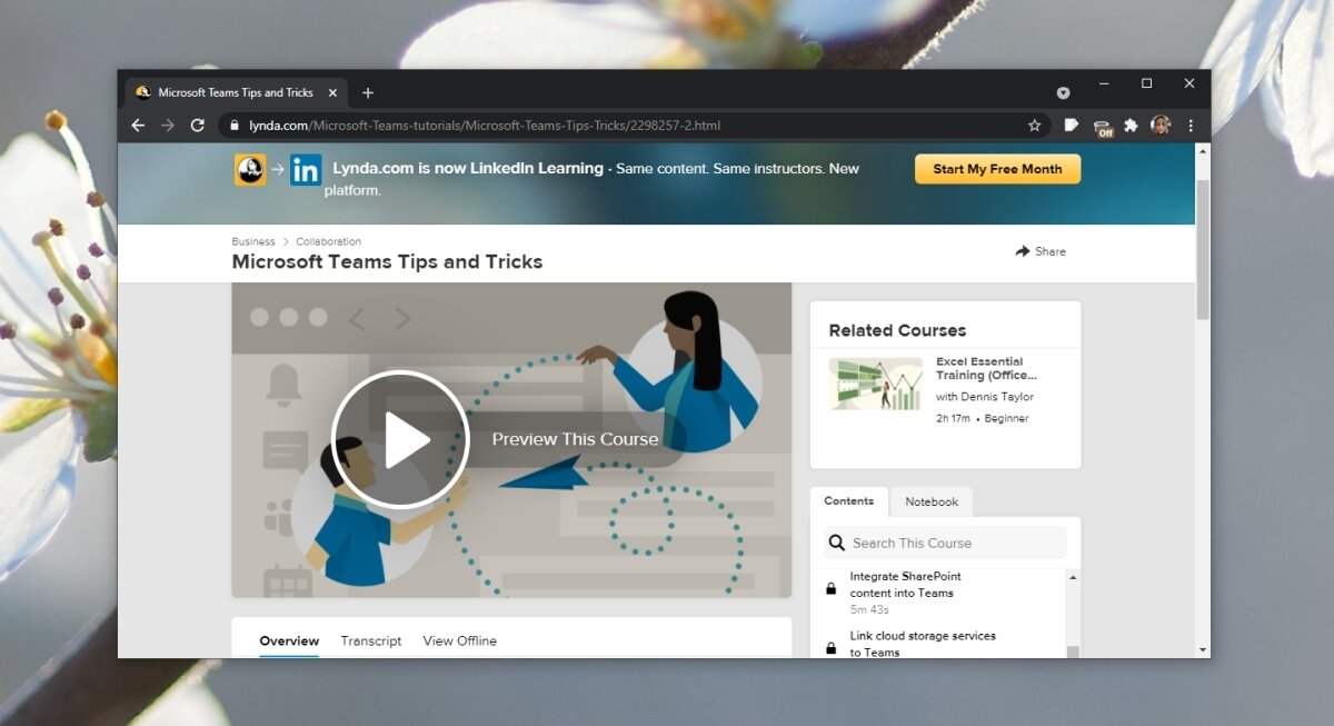 5 Best Microsoft Teams training courses for team admins