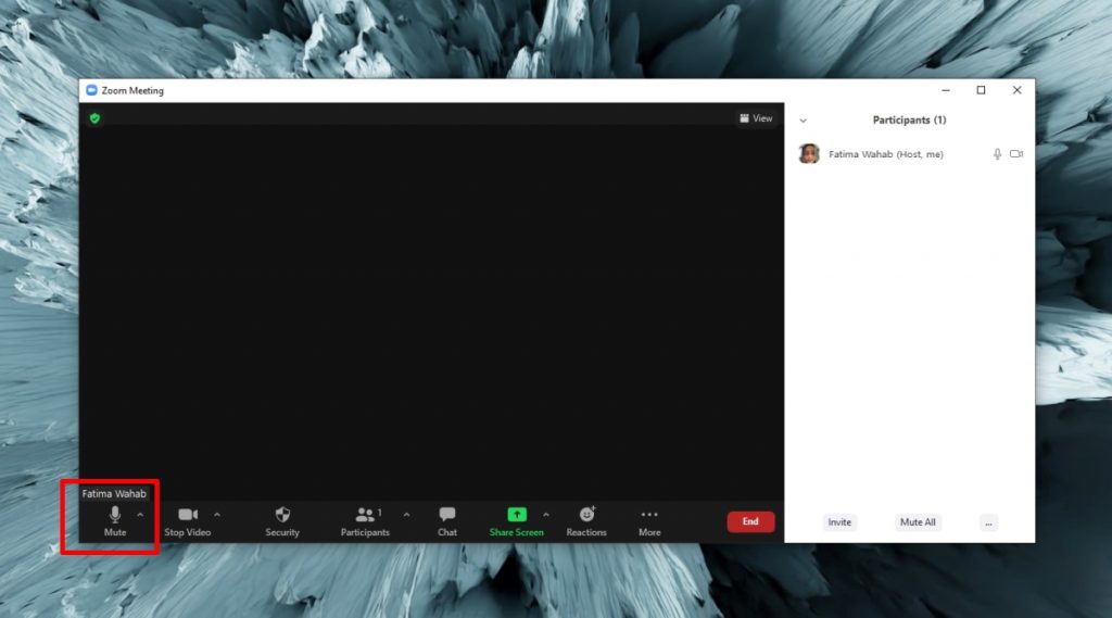 How to: Mute Zoom meeting participants, audio, and mic