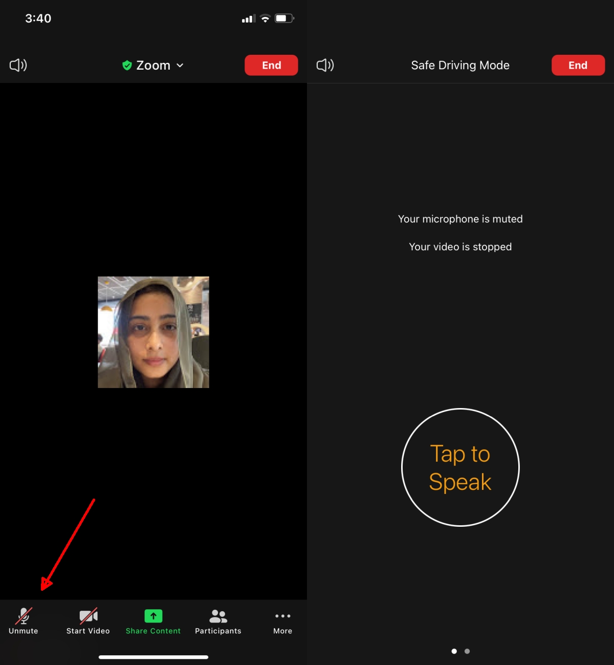 How to: Mute Zoom meeting participants, audio, and mic
