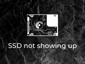 SSD not showing up? What to do when a new SSD is not detected