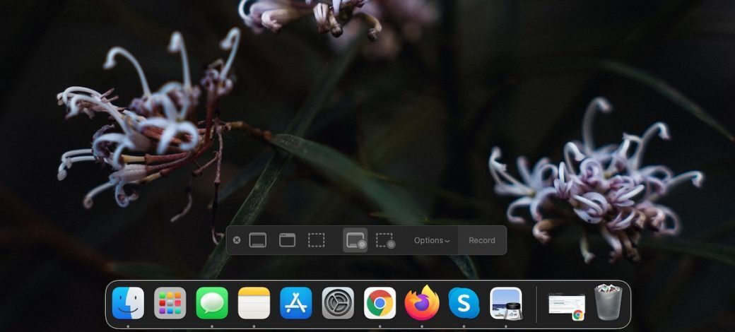 How to use the Zoom meeting screenshot tool