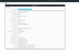 How to clean metadata from files on Linux