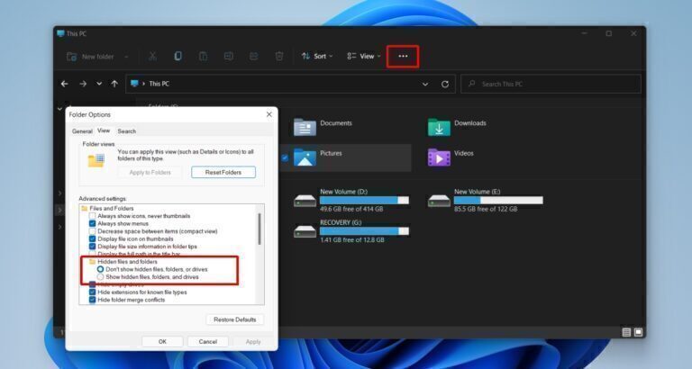 How to show hidden files in Windows 11