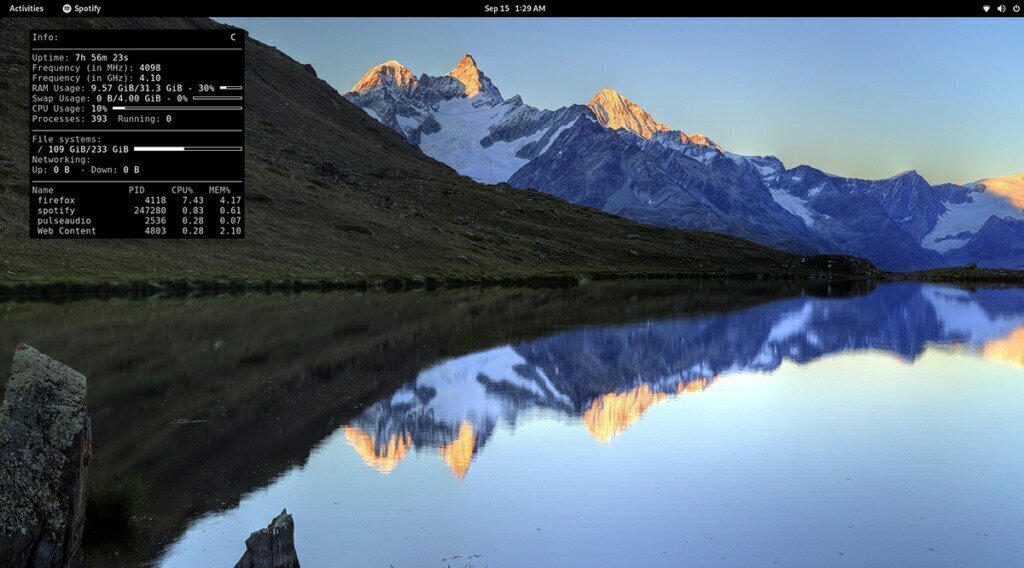 How to add system information to the Linux desktop