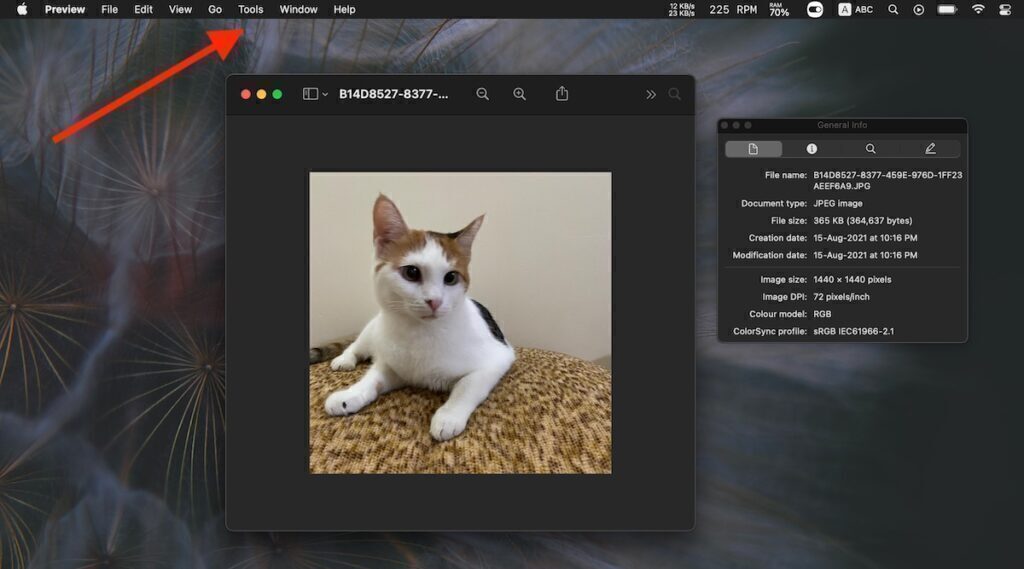 How to view image EXIF data