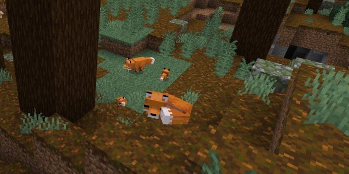 How to tame a fox in Minecraft