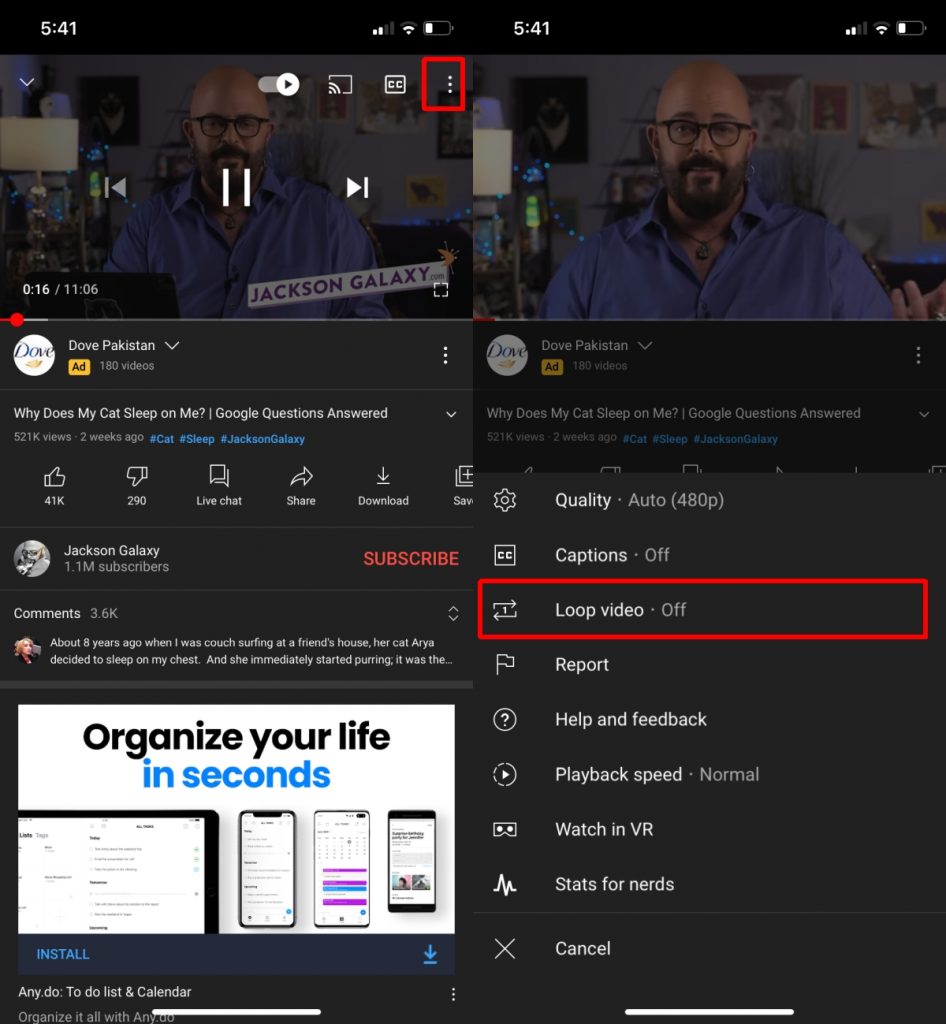 How To Loop Videos On YouTube how-to-loop-videos-on-youtube