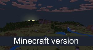 How to find the Minecraft version