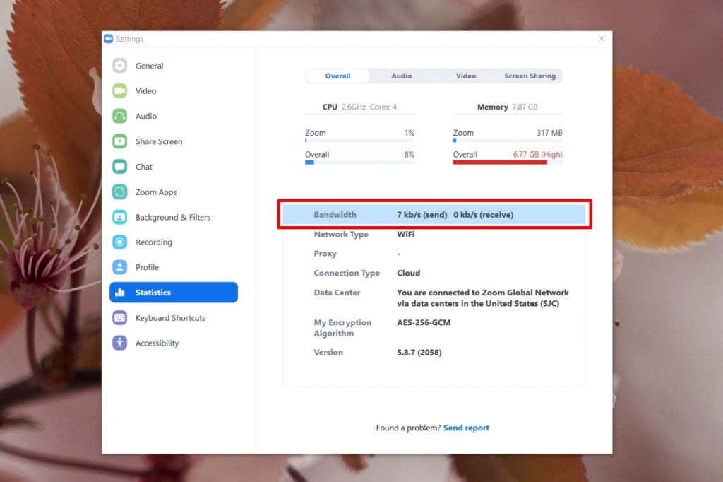 How to check connection speed on Zoom