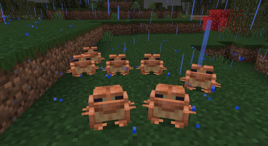 Ranas de Minecraft: cómo encontrarlas - TecnoLoco
