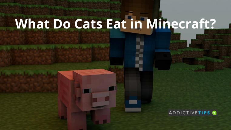 What Do Cats Eat In Minecraft Addictivetips 2022