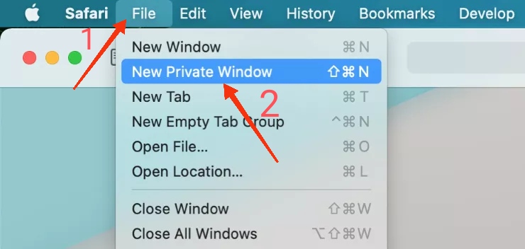 incognito-mode-on-safari-everything-you-should-know-addictivetips-2022