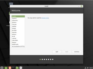 How to Install Linux Mint 21 with manual partitions